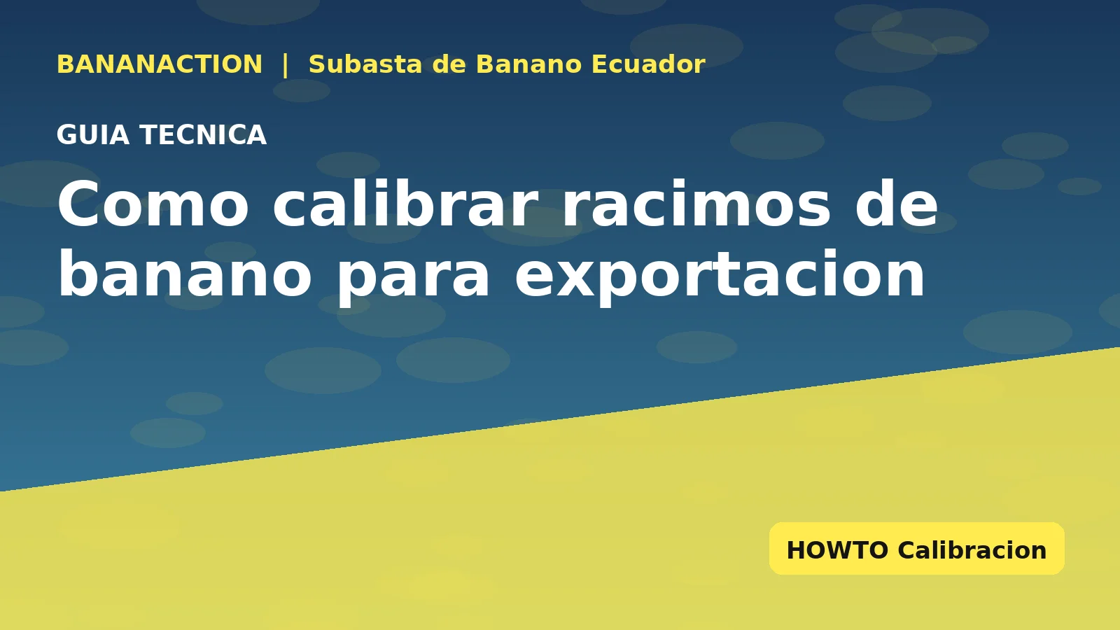 Cómo calibrar racimo banano exportación: guía 2026